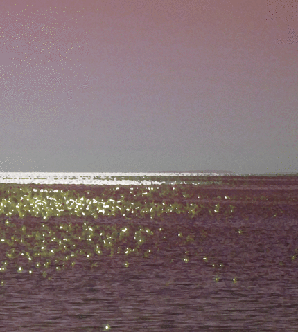 Reflected Light GIFs - Get the best GIF on GIPHY