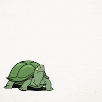 Animated Turtle Gif