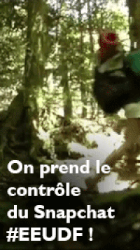 Scouting Camp GIFs - Find & Share on GIPHY