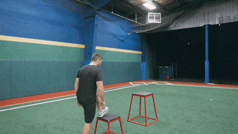 Depth Jump Vs Drop Jump
