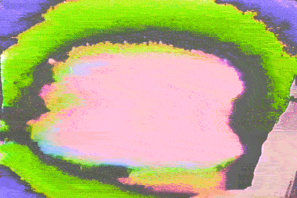 Video Art Analog GIF by J. Robinson - Find & Share on GIPHY