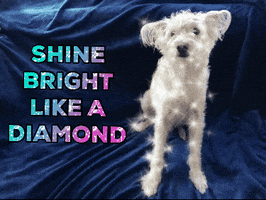 Shine Bright Like A Diamond GIFs - Find & Share on GIPHY