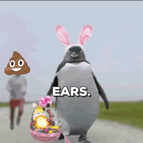 Terrace Lounge GIFs - Get the best GIF on GIPHY