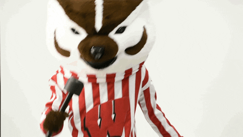 Wisconsin Badgers GIF by uwmadison - Find & Share on GIPHY