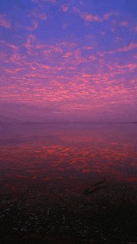 Pink Sunset Gif