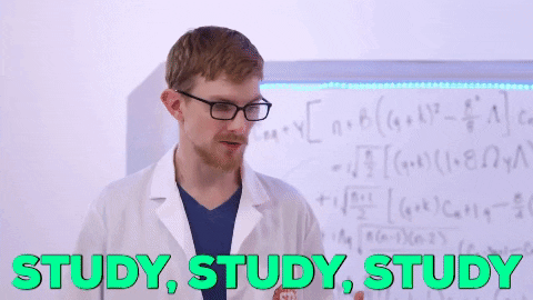 Study Study Study GIFs - Get the best GIF on GIPHY