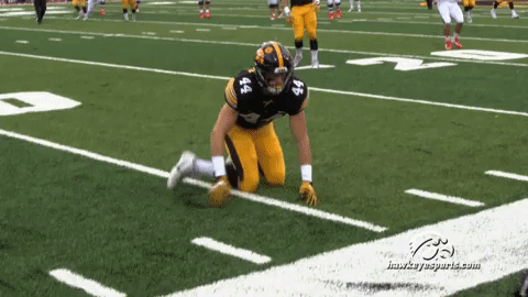 Iowa Hawkeyes Hawks GIF by University of Iowa Hawkeyes Athletics - Find ...