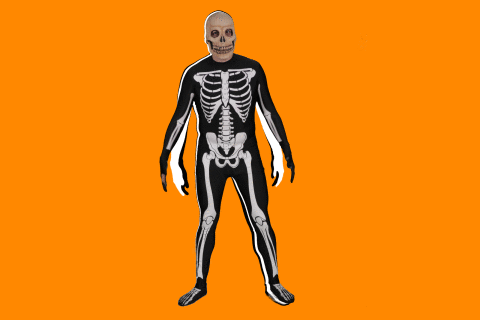 These Spooky Skeleton GIFs Will Make You Laugh by Reaction GIFs | GIPHY