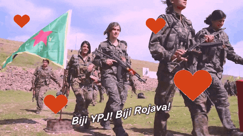 Sisy GIFs - Find & Share on GIPHY