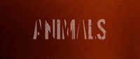 Animals Maroon 5 Gif