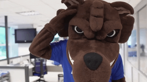 Raposa GIFs - Get the best GIF on GIPHY