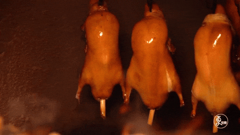 Beijing-ducks GIFs - Get the best GIF on GIPHY