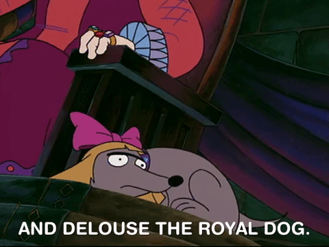 Royal-dog GIFs - Get the best GIF on GIPHY