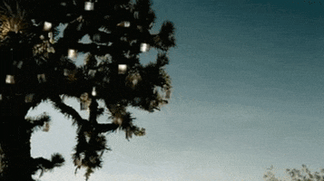 Why Me GIFs - Find & Share on GIPHY