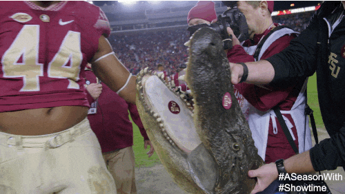 Florida State GIFs - Get the best GIF on GIPHY