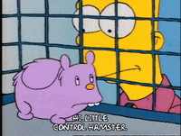 Hamster Wheel Fail Gif