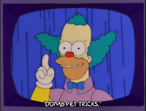 Pet-tricks GIFs - Get the best GIF on GIPHY
