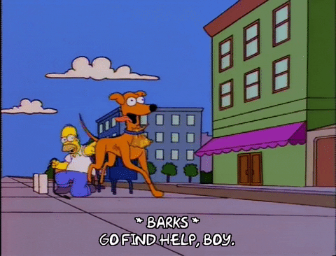 Find-help GIFs - Get the best GIF on GIPHY