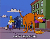 Bad Dog Gif