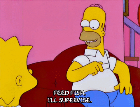 Feed-fish GIFs - Get the best GIF on GIPHY