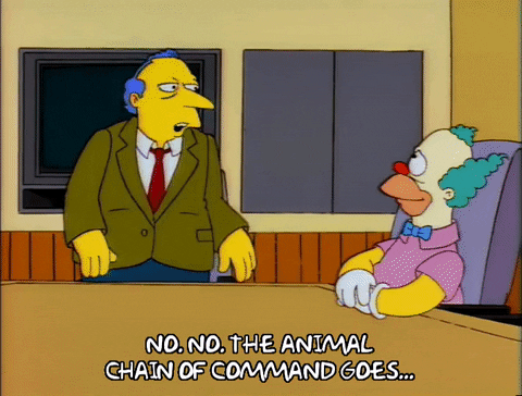 Chain Of Command Cartoon