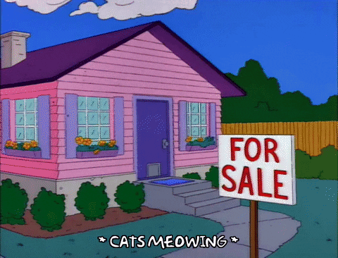Cats-4-sale GIFs - Get the best GIF on GIPHY
