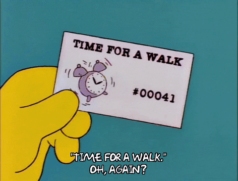 Time-for-a-walk GIFs - Get the best GIF on GIPHY