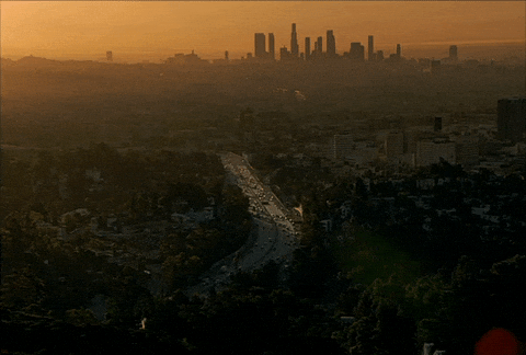 Los Angeles La GIF by The Hills - Find & Share on GIPHY