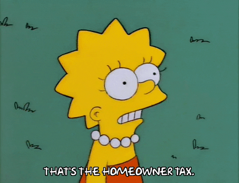Understanding Taxes GIFs - Get the best GIF on GIPHY