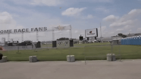 Big Cat Pft GIF by Barstool Sports - Find & Share on GIPHY