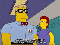 Simpsons Nerd Gif