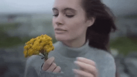 Sniff The Flowers GIFs - Get the best GIF on GIPHY