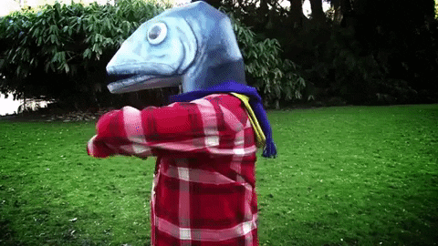 Fish Head GIFs - Get the best GIF on GIPHY