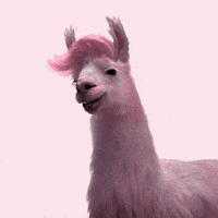 Dancing Alpaca Gif