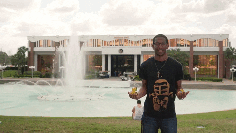 Reflection Pond GIFs - Get the best GIF on GIPHY