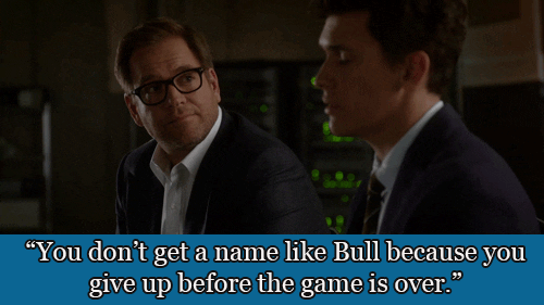 Like-bull GIFs - Get the best GIF on GIPHY