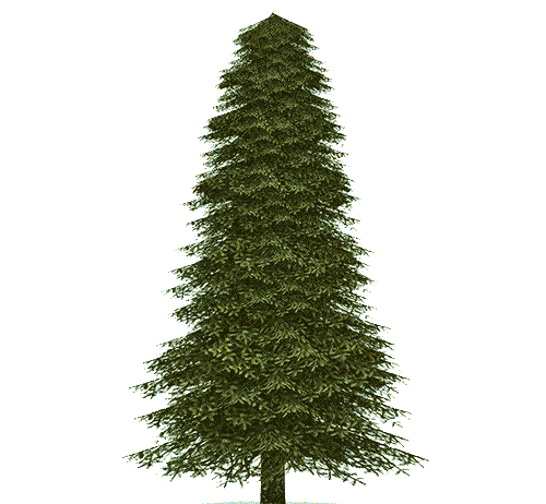 Transparent Tree Gif