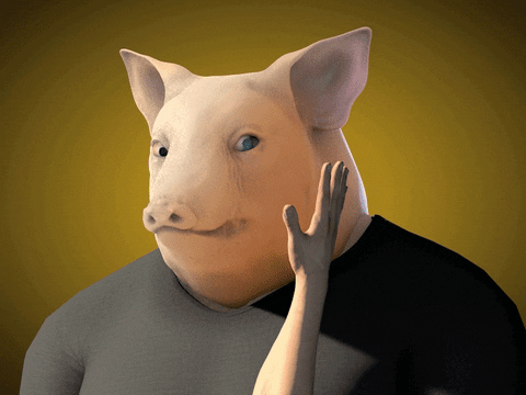 Pig Slap GIFs - Get the best GIF on GIPHY