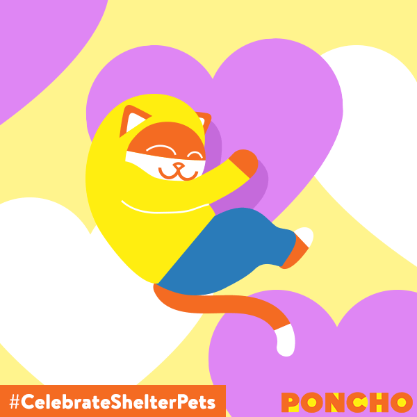 Shelter Pet Project GIFs - Get the best GIF on GIPHY