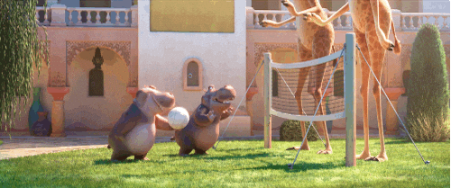 Disney Animation GIF by Disney Zootopia - Find & Share on GIPHY