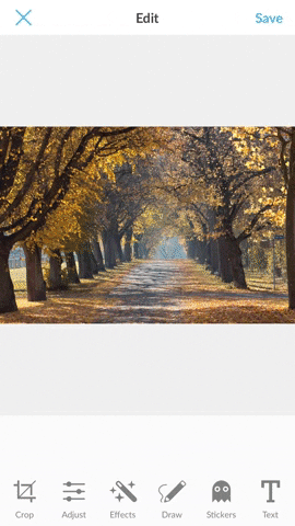 Photo Filters GIFs - Get the best GIF on GIPHY