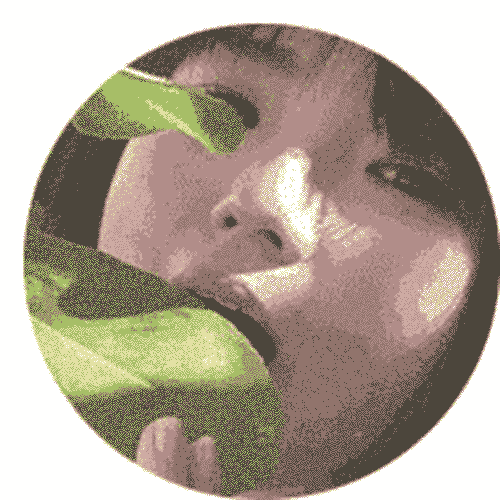 Eat Leaf GIFs - Get the best GIF on GIPHY