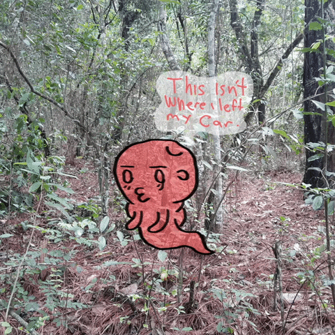 Run To The Forest GIFs - Get the best GIF on GIPHY