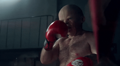 Boxing Match GIF by Circa Survive - Find & Share on GIPHY