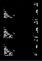 Sweet Charee Gallery GIFs on GIPHY - Be Animated