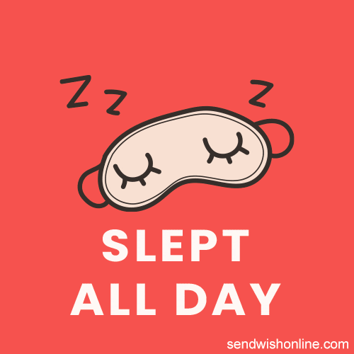 Sleep All Day GIFs - Find & Share on GIPHY
