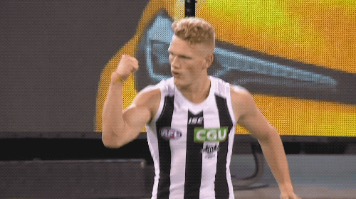 Collingwoodfootballclub GIFs - Get the best GIF on GIPHY