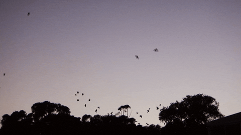 Loop Sky GIF by A. L. Crego - Find & Share on GIPHY