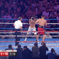 Boxing Knockout Gif