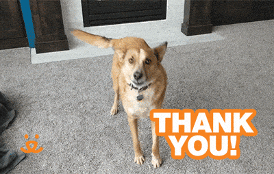 Funny Thank You Animated Gif